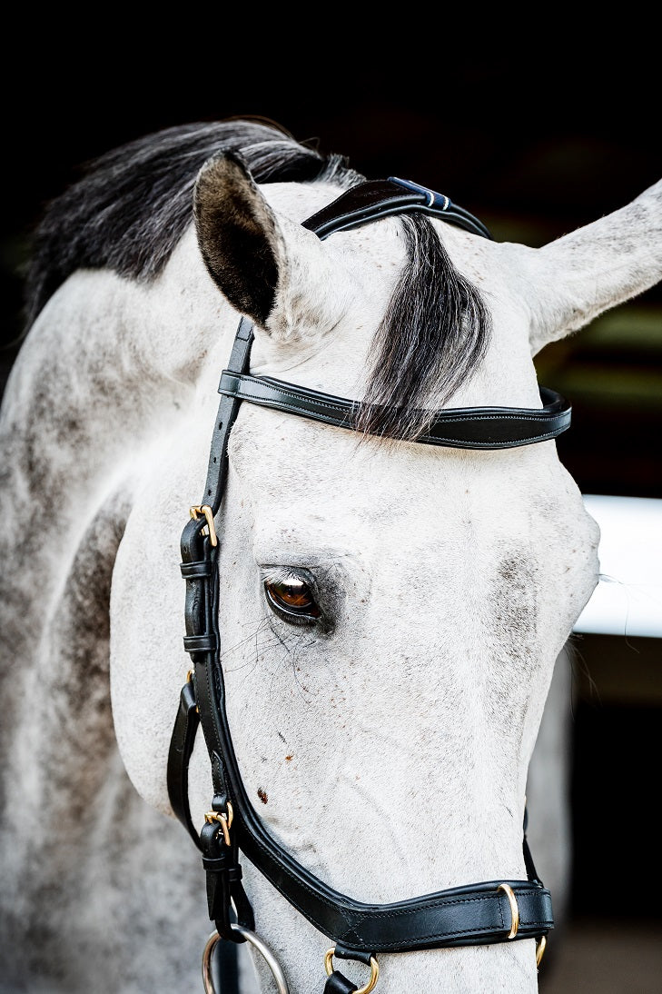 NEW Design 2023 Rambo Micklem Multi Bridle (bitless) – Equestrian Hire